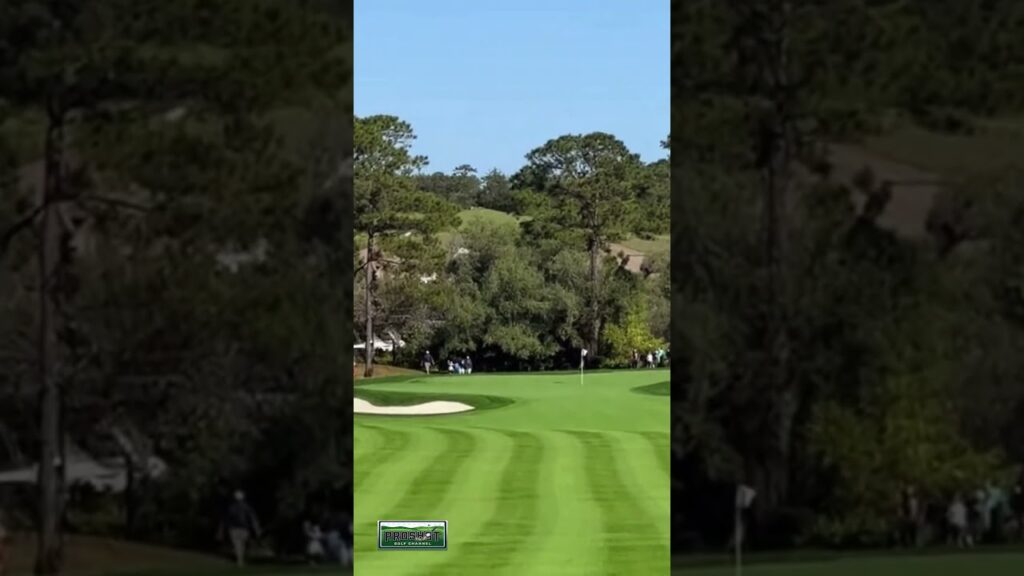 Unreal Golf Shot Caught on Camera AI #golf #GolfShot - One Stroke Golf