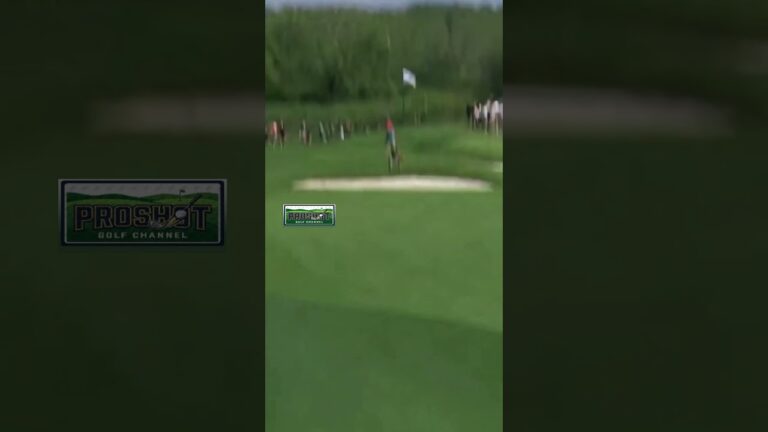 Unreal Shot That Made the Crowd React AI #golf #GolfShot - One Stroke Golf
